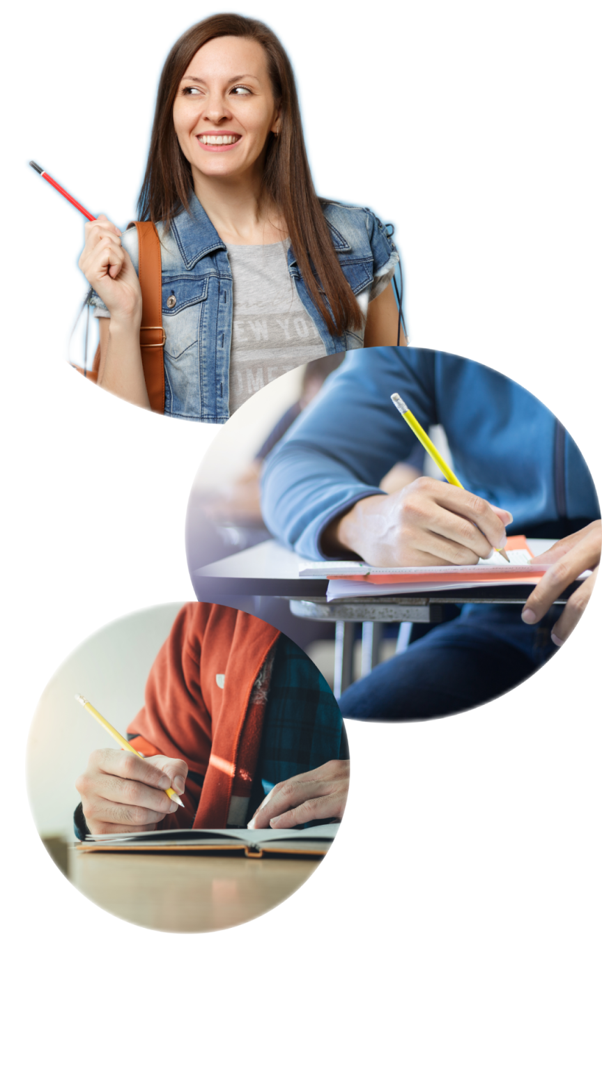 What Is Executive Function Expert Academic Coaching